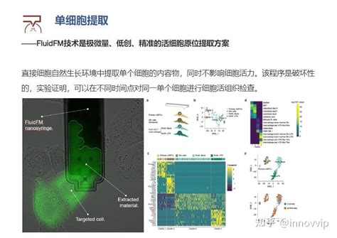 单细胞提取、单细胞分离、单细胞注射、单细胞力谱多功能单细胞显微操作系统 Fluidfm Omnium 知乎 单细胞提取、单细胞分离、单细胞注射、单细胞力谱多功能单细胞显微操作系统 Fluidfm Omnium 知乎