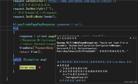 Systemiofilenotfoundexception“could Not Load File Or Assembly ‘systemconfiguration