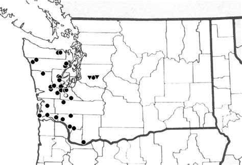 Map Of Washington State Usa Showing Distribution Of Caseya Richarti