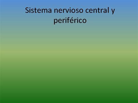 Sistema Nervioso Central Y Perifrico Sistema Nervioso Central