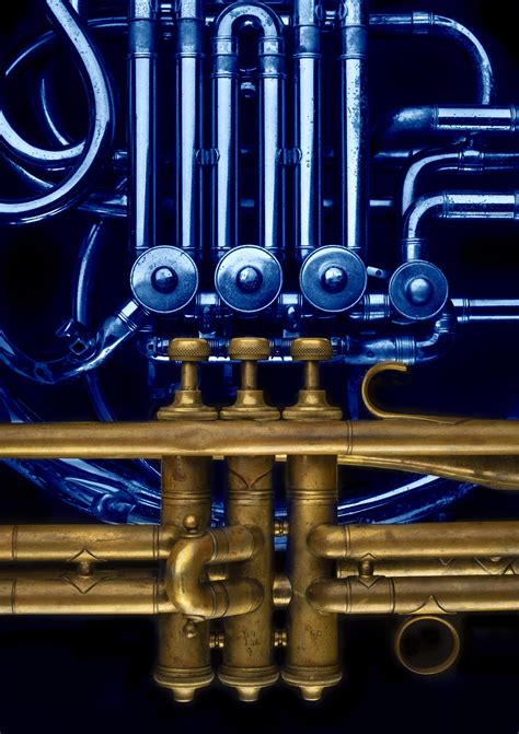 Anatomy Of Musical Instruments — Harold Shapiro Photography