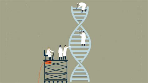 New Methods To Detect Crispr Off Target Mutations The Scientist