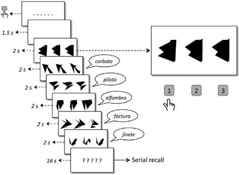 schematic representation of the experimental procedure in the polygon