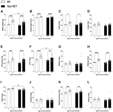Biology Special Issue Mitochondria The Diseases Cause And Cure