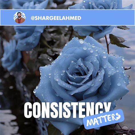 shargeel ahmed on linkedin be consistent in your networking efforts as