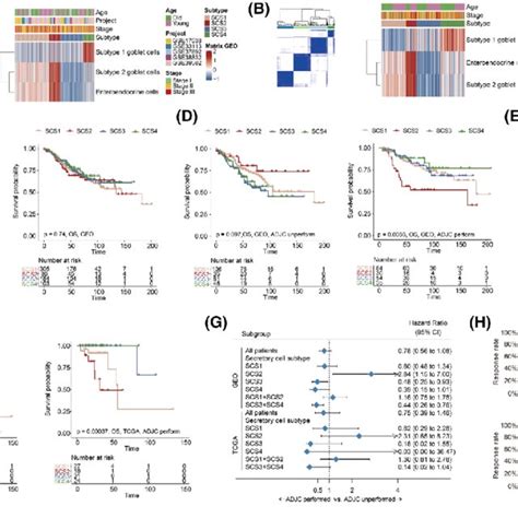 Consensus Clustering Based On Pca Scores Of Secretory Cell Related Download Scientific Diagram