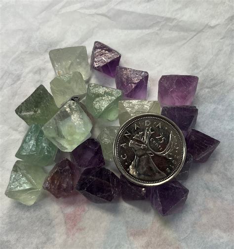 Fluorite Cubes Planet Botanix Ottawa