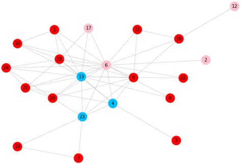 A Query Subgraph Detected By Louvain On The Insurance Fraud Dataset
