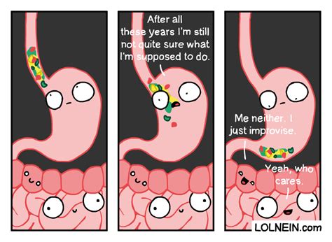 A Question Of Digestion Imgur