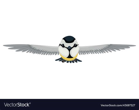 Tit Bird In Flying Position Titmouse In Cartoon Vector Image