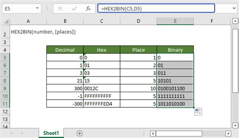 How To Use The Excel HEX2BIN Function