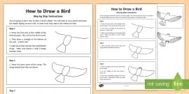 How To Draw A Bird Activity Teacher Made Twinkl