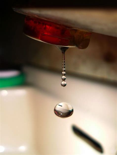40 Amazing Examples Of Macro Photography Macro Photography Shutter