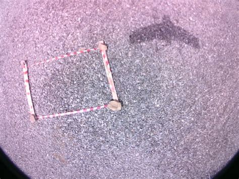 Arch Object Detection Dataset And Pre Trained Model By Test