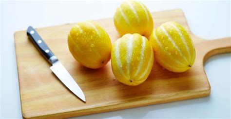 Korean Melon Taste Benefits And Uses Gardeners Magazine