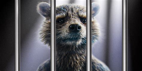 ‘guardians Of The Galaxy 3 How Was Rocket Made