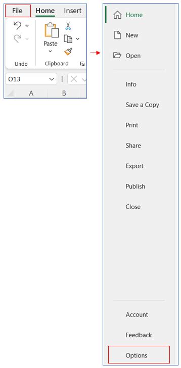 Developer Tab In Excel Biz Infograph