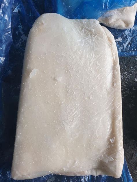 Pin By Li Candy On Frozen Giant Squid Fillet Giant Squid Squid Frozen