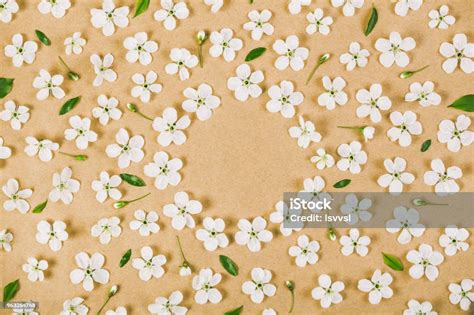 플로랄 프레임 흰색 봄 꽃 꽃 봉 오리의 고 녹색 잎에 갈색 종이 배경 플랫이 하다 최고의 볼 수 있습니다 0명에 대한 스톡