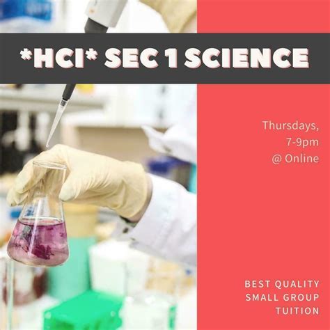 Hci And Nygh Students Cant Get Enough Of Our Tuition Heres Why