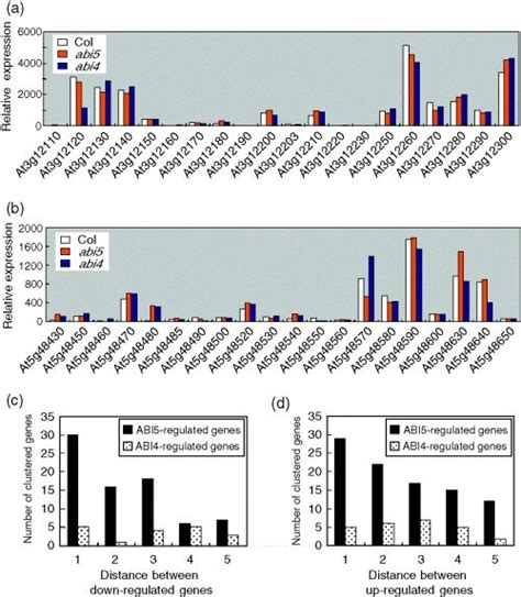 clustered expression profiles in abi mutants a b expression