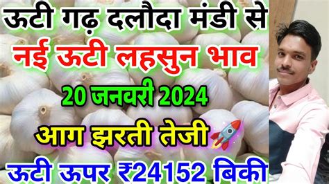 दलौदा मंडी नई ऊटी लहसुन का भाव 20 जनवरी 2024 New Ooty Garlic Rate