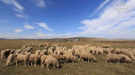 Pešterska Visoravan