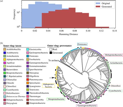 Towards Ai Designed Genomes Using A Variational Autoencoder