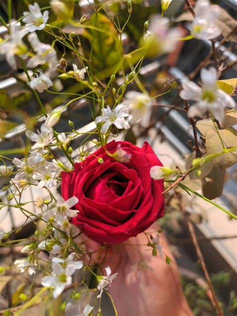 Tarsem Kaur तरसेम कौर On Linkedin Saturdayquotes Inspiration