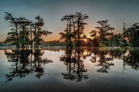 Famous Bayous In Louisiana At Norma Plouffe Blog
