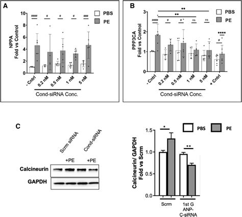 Programmable Sirna Pro Drugs That Activate Rnai Activity In Response To Specific Cellular Rna
