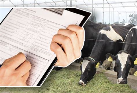 ¿qué Se Debe Tener En Cuenta Al Organizar Los Registros Del Ganado En