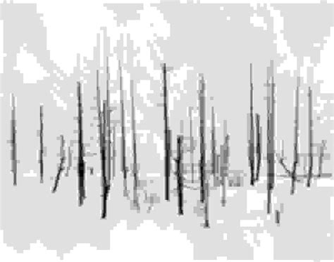 Darren Almond 69th Parallel 2 2005 Available For Sale Artsy