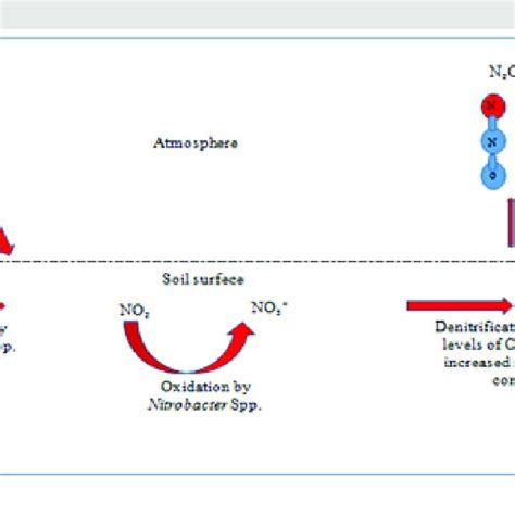 Schematic Diagram Of Emission Of Nitous Oxiden 2 O Download