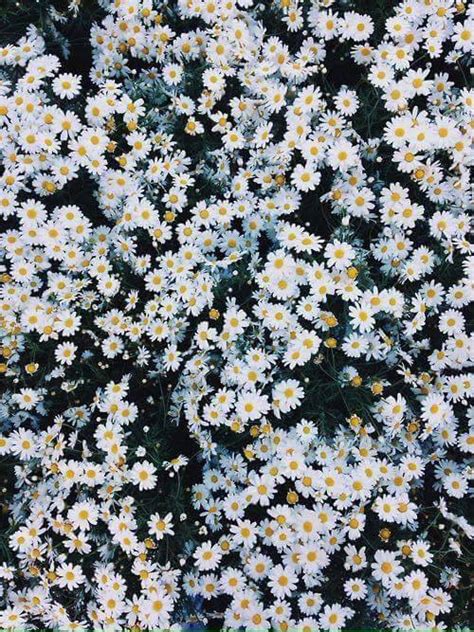 Media7 Mm Knu တပ်မဟာ ၅ နှင့် သြဂုတ်လအတွင်း တိုက်ပွဲများတွင် စခ ၁၀၀ ကျော်သေဆုံး ဩဂုတ် ၃၁ ၊ ၂၀၂၁