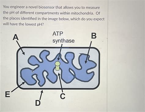 Solved You Engineer A Novel Biosensor That Allows You To