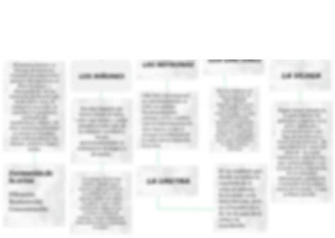 SOLUTION Mapa Conceptual Del Sistema Urinario Studypool