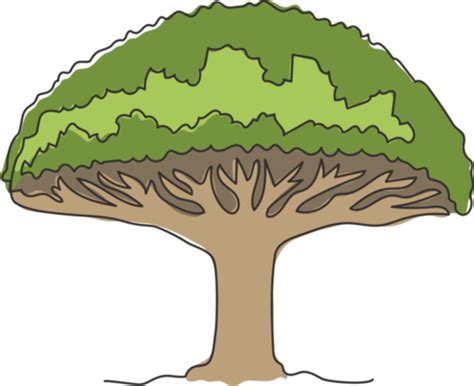 Line Shapes PNGs For Free Download