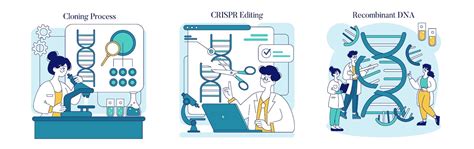 Premium Vector Biotechnology Set Scientists Engaged In Cloning Crispr Gene Editing And
