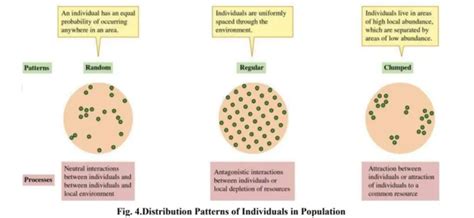 Population Definition Characteristics Growth Regulation Types