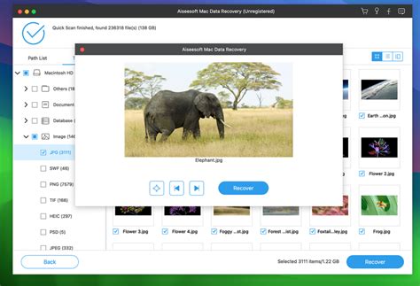 Top 6 Data Recovery Software For Mac In 2025 Unleash The Power To