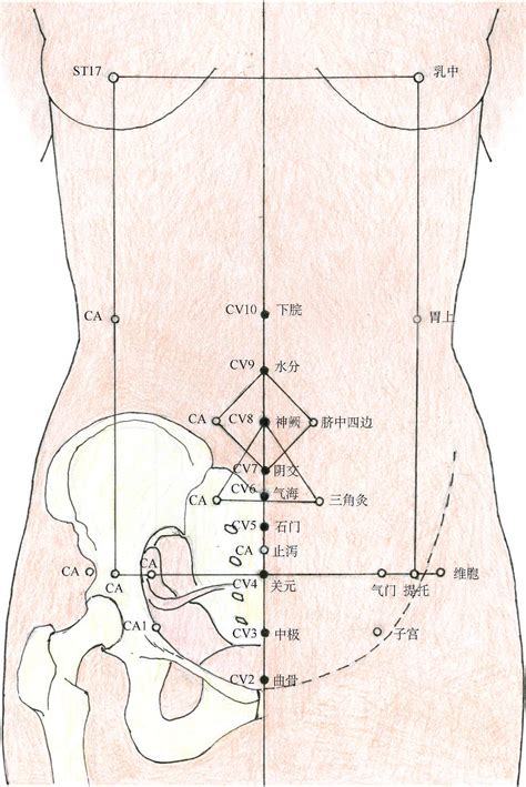 4 2 胸腹部穴 针灸经络穴位 医学