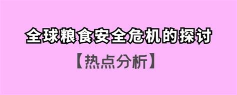 【经济学考研丨热点分析】全球粮食安全危机的探讨 知乎