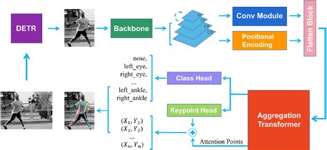 Figure 1 From Aggregation Transformer For Human Pose Estimation