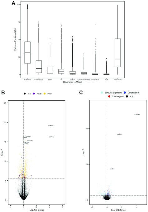 Summary Of Analysis Of Carcinogen Exposure Of Organoids Following