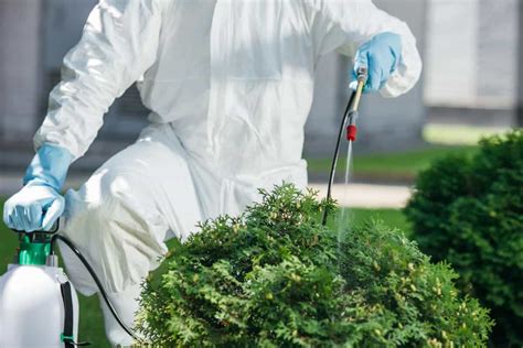 Fire Ants In The Vegetable Garden How To Control Them Smart Garden
