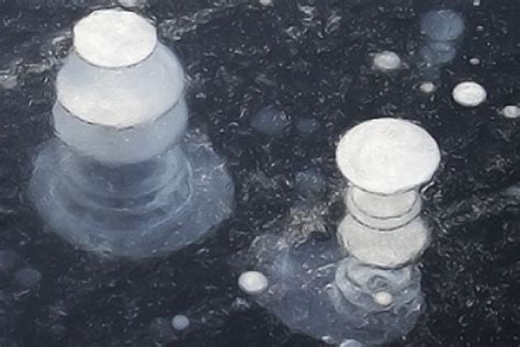 Permafrost EO College