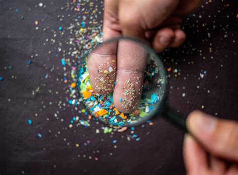 Microplastics Linked To Huge Increase In Health Risk Engoo Daily News