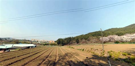 충남 임야매물 서산 임야 매매 충남 서산시 부석면 임야토지 매도합니다 전망이 트인 평야지대의 야산 매물