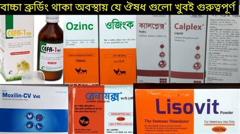 বাচ্চা ব্রুডিং থাকা অবস্থায় এই ঔষধ গুলো খুবই গুরুত্বপূর্ণ Youtube